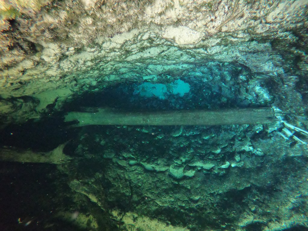 Devil’s Spring System (Ginnie Springs) – First Magnitude Florida